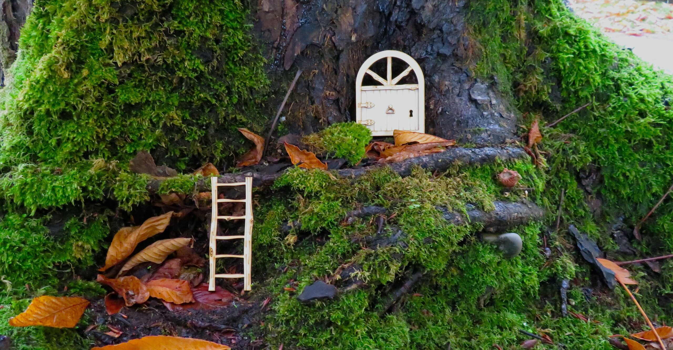 Fairy Ladder - Various Sizes | SpriteWorks